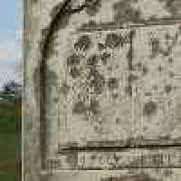 John Ball Melton Jr (1791–1865)